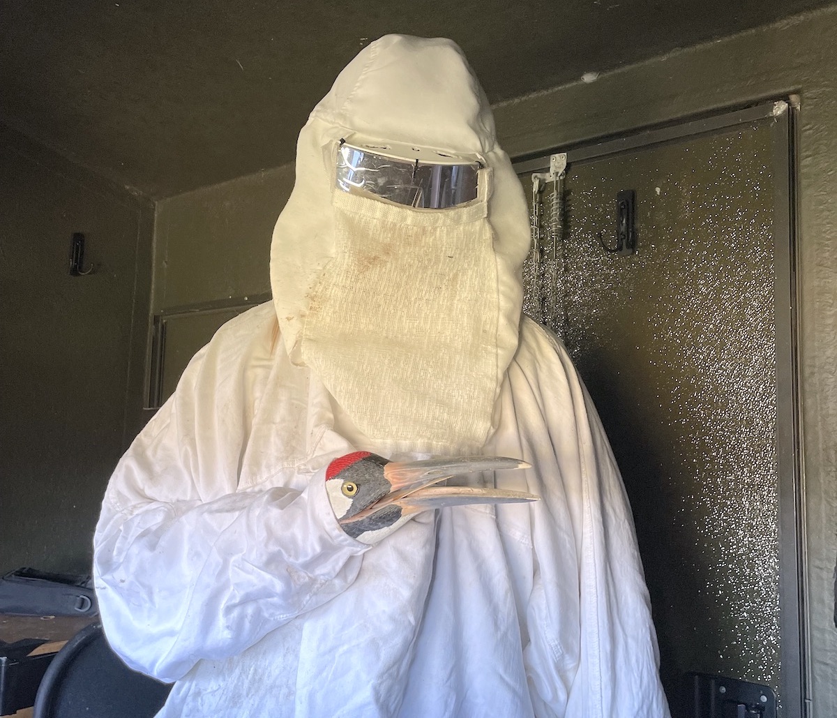 Humans in Bird Costumes Bring Whooping Cranes Back to Louisiana’s ...